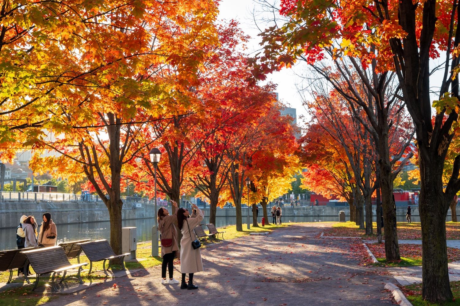 2025加拿大移民攻略：最新政策、申请条件与途径 - 海外移民网